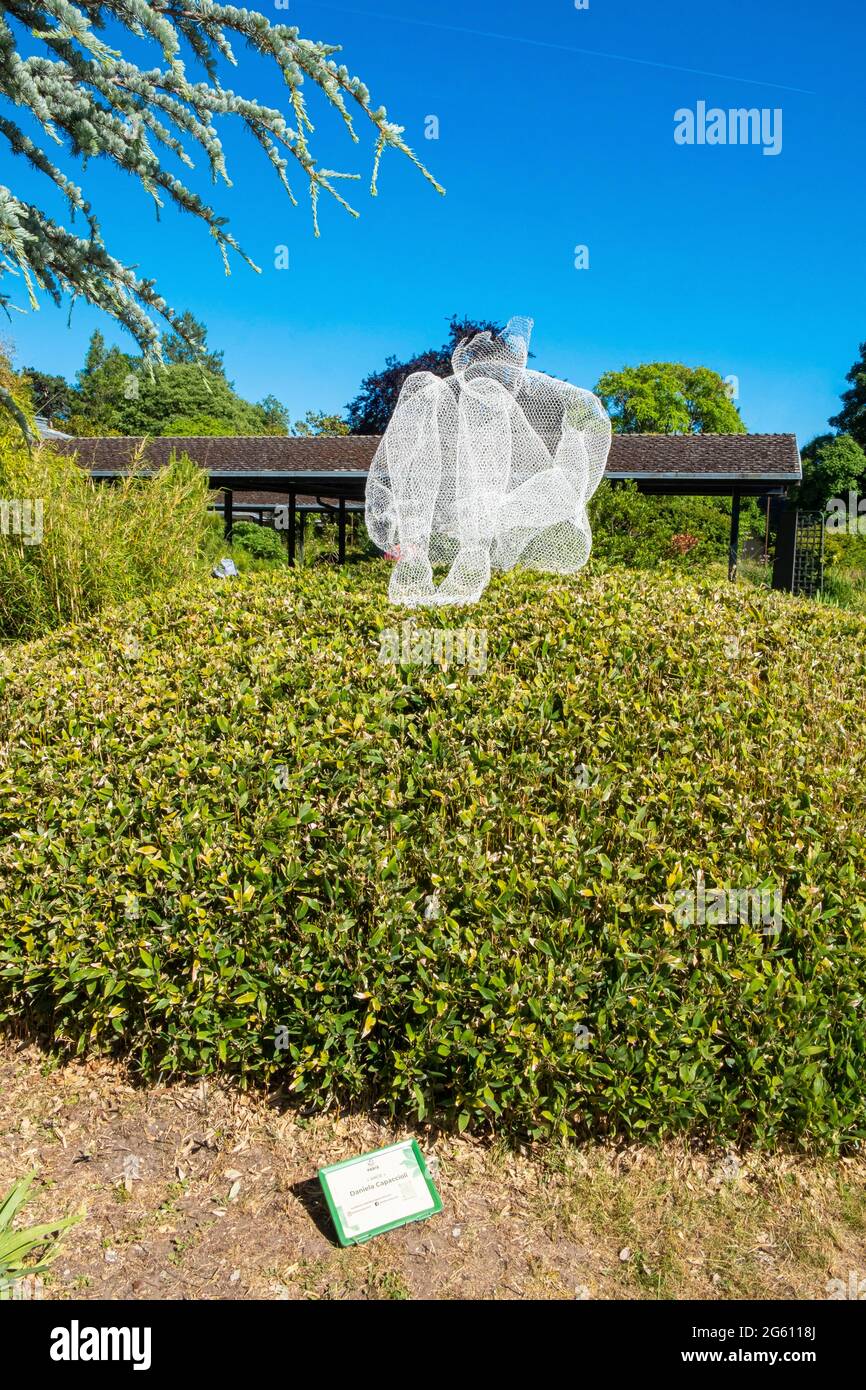 France, Paris, Bois de Vincennes, Le Parc Floral Stock Photo - Alamy