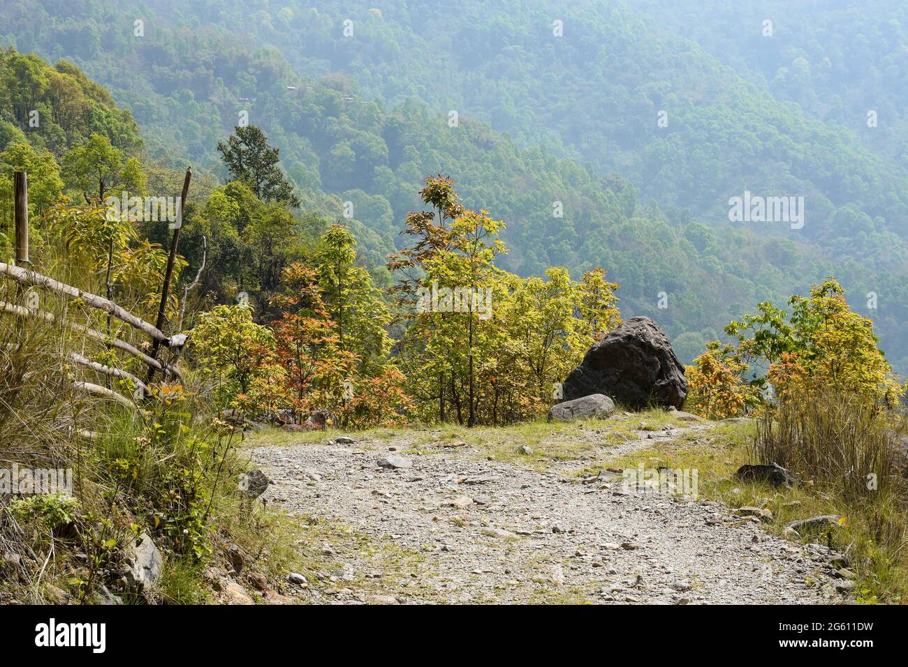 Pristine place in the himalayan dense forest of Todey ,Kalimpong Stock ...