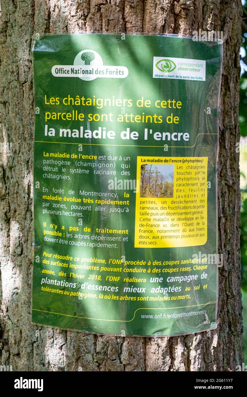 France, Val d'Oise, Montmorency Forest, explanatory sign of the ...