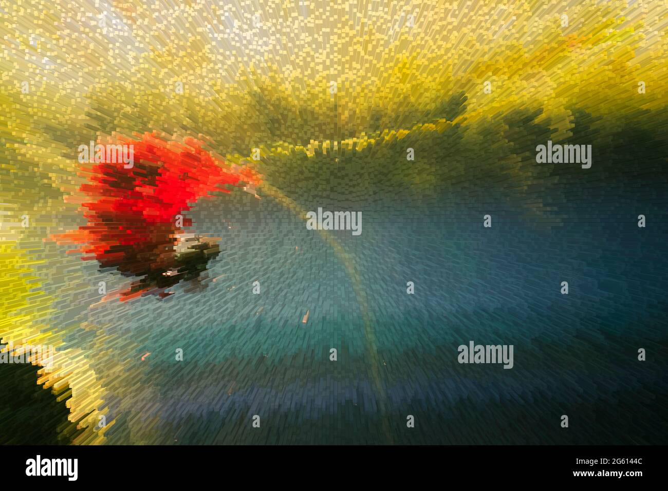 Deep red Dragon Betta fish with a teal body, in-home aquarium. Swimming ...