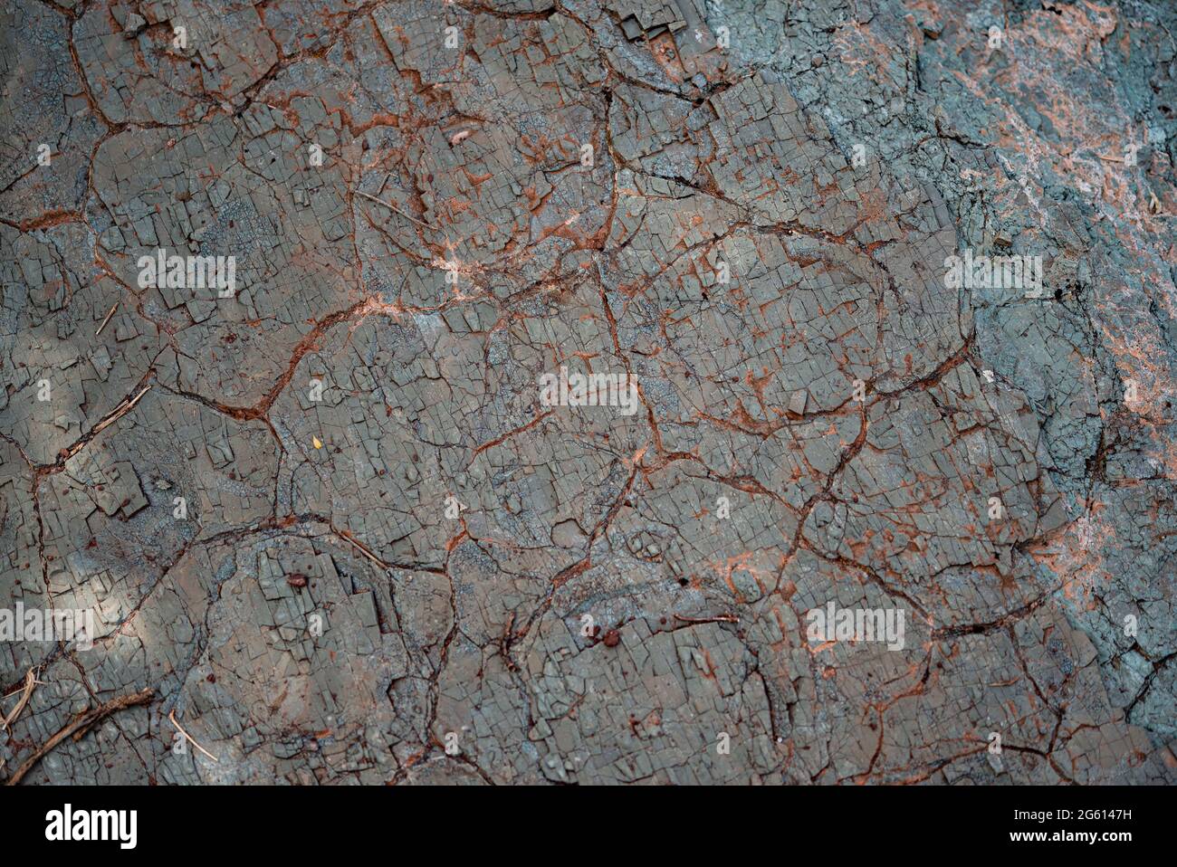 France, Alpes maritimes, Mercantour mountain range, Var high valley ...