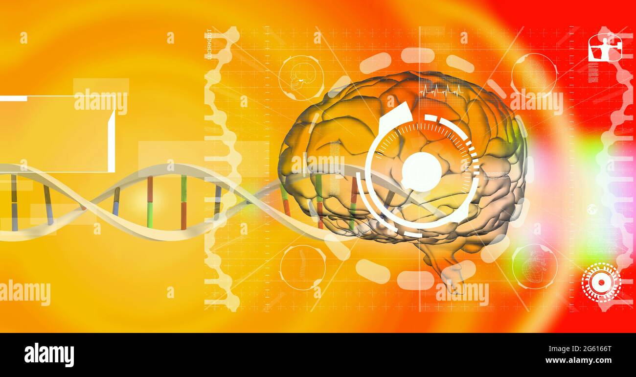 Dna structure human brain over hi-res stock photography and images - Alamy
