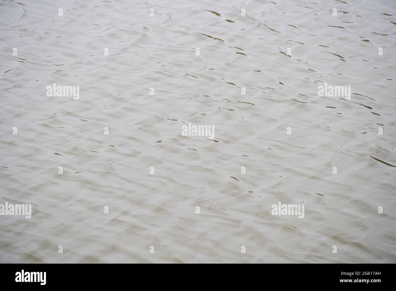 Organic and mineral structure of plants and soil containing humus in ...