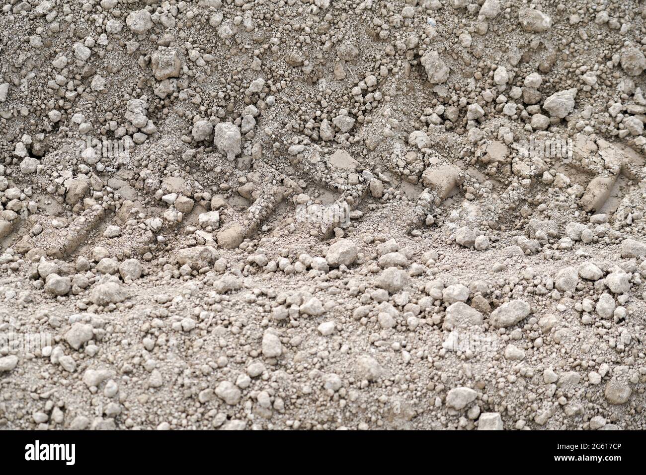 Organic and mineral structure of plants and soil containing humus in ...