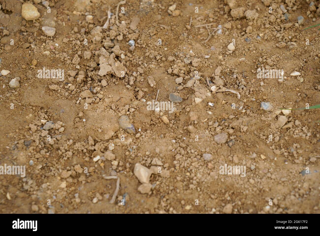Organic and mineral structure of plants and soil containing humus in ...