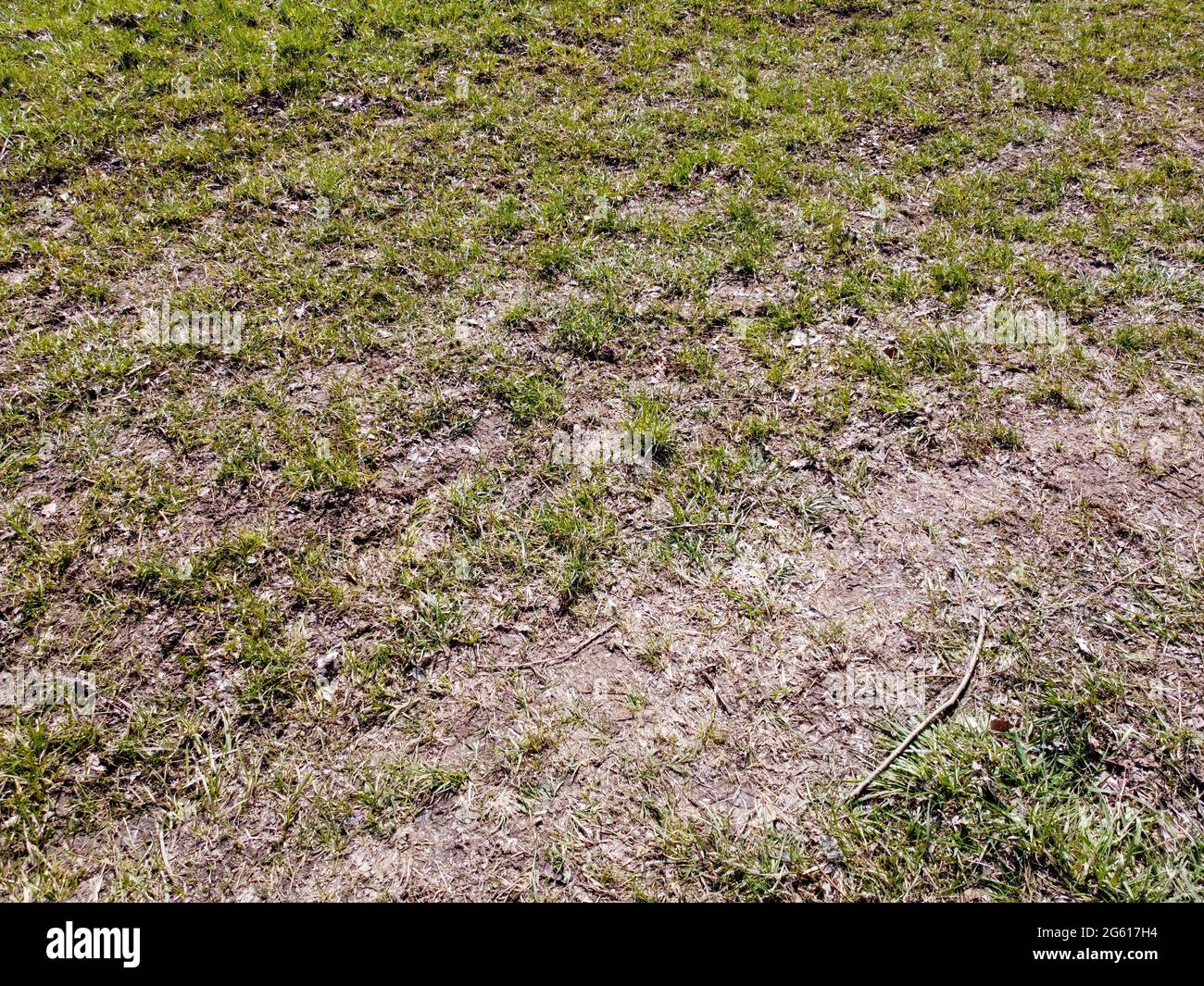 Organic and mineral structure of plants and soil containing humus in ...