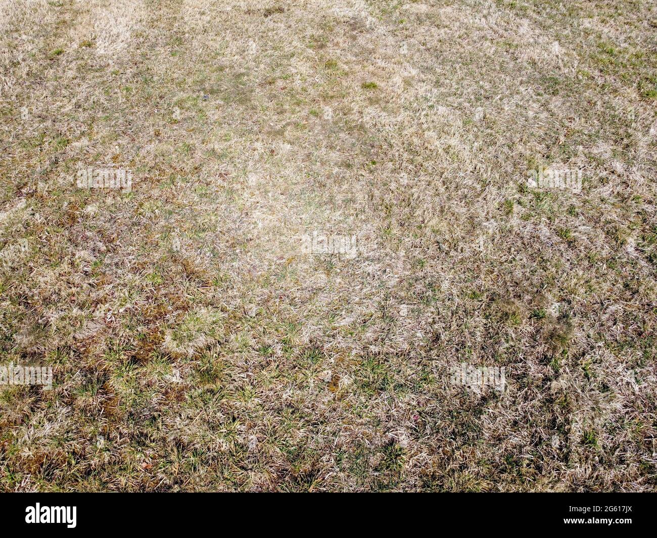 Organic and mineral structure of plants and soil containing humus in ...