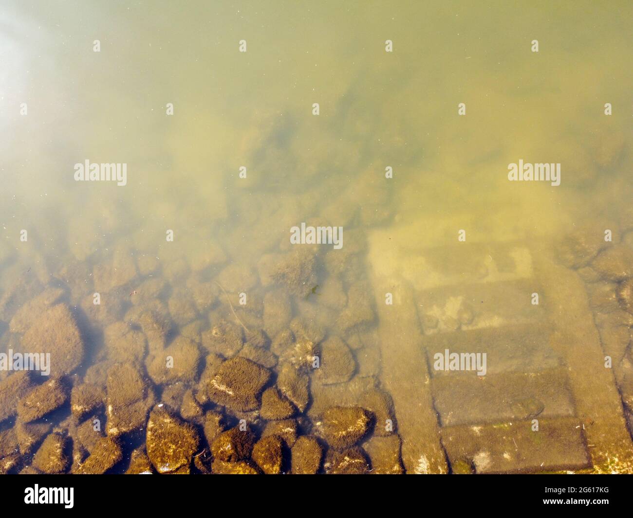 Organic and mineral structure of plants and soil containing humus in ...