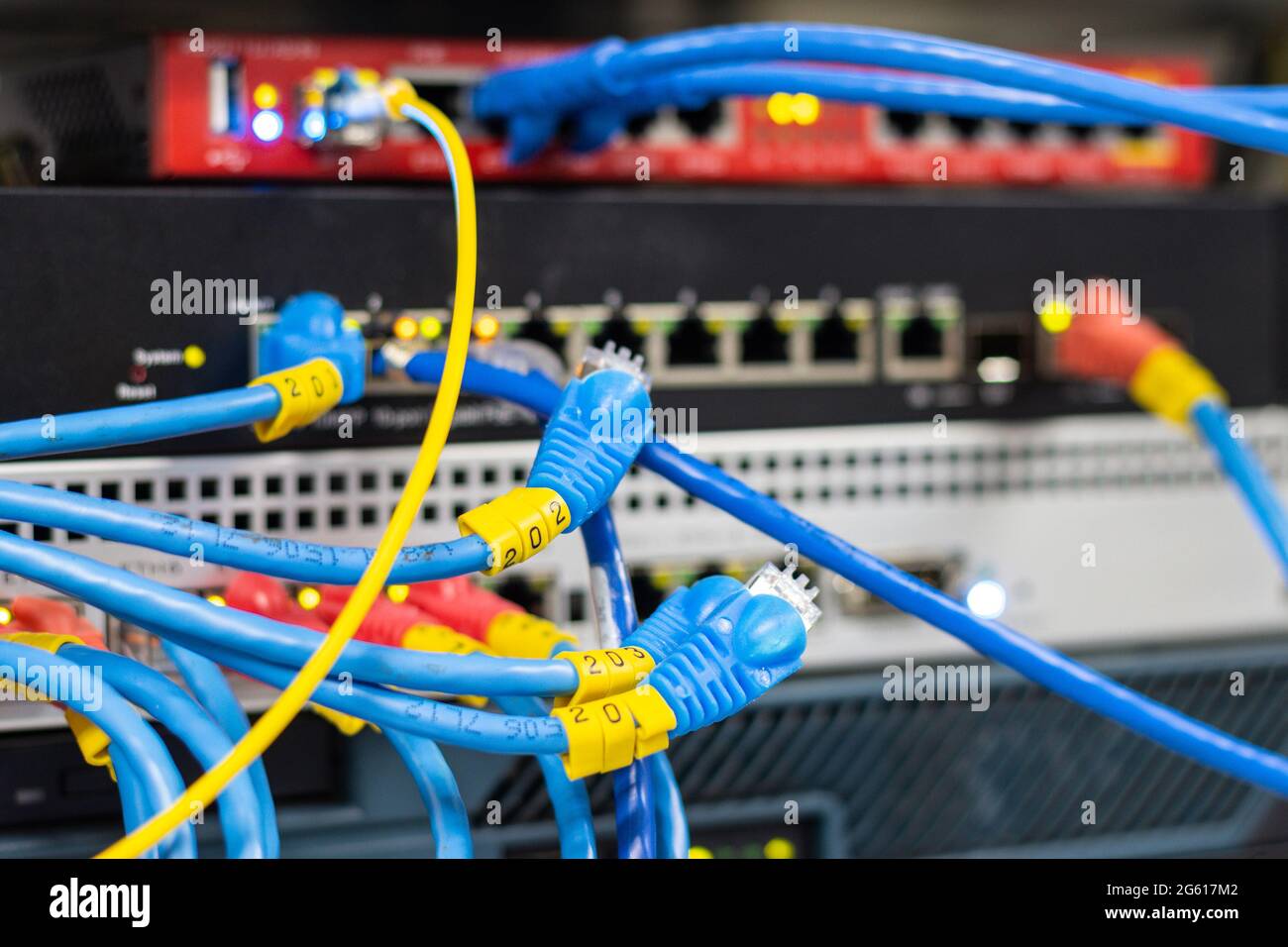 The network cables to connect the port of a switch to connect internet network, concept ...