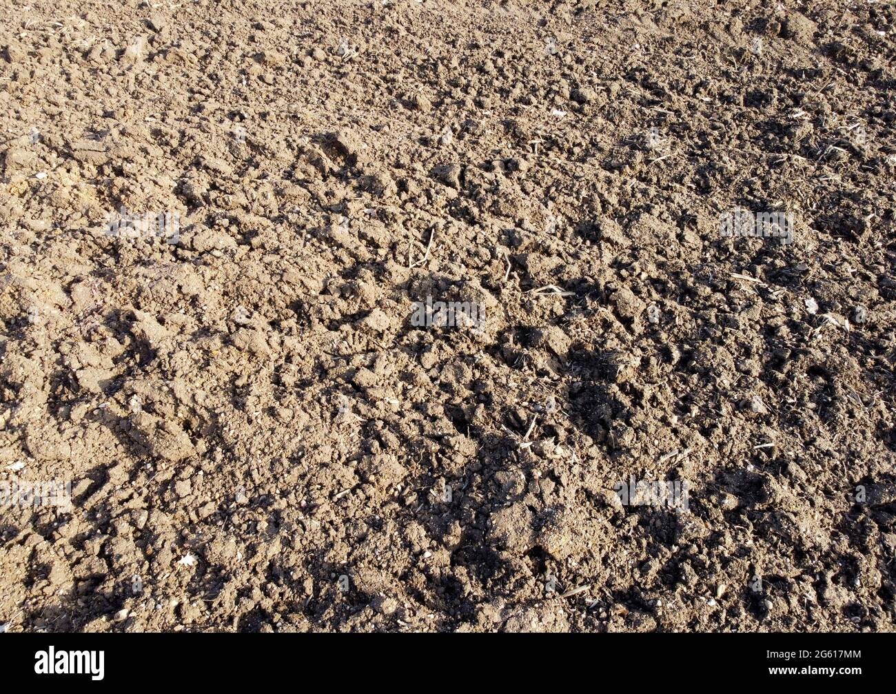 Organic and mineral structure of plants and soil containing humus in ...
