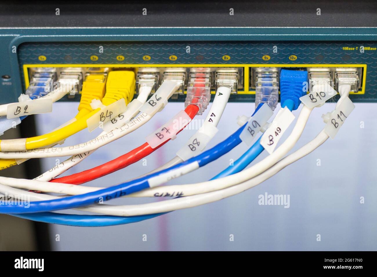 The network cables to connect the port of a switch to connect internet network, concept ...