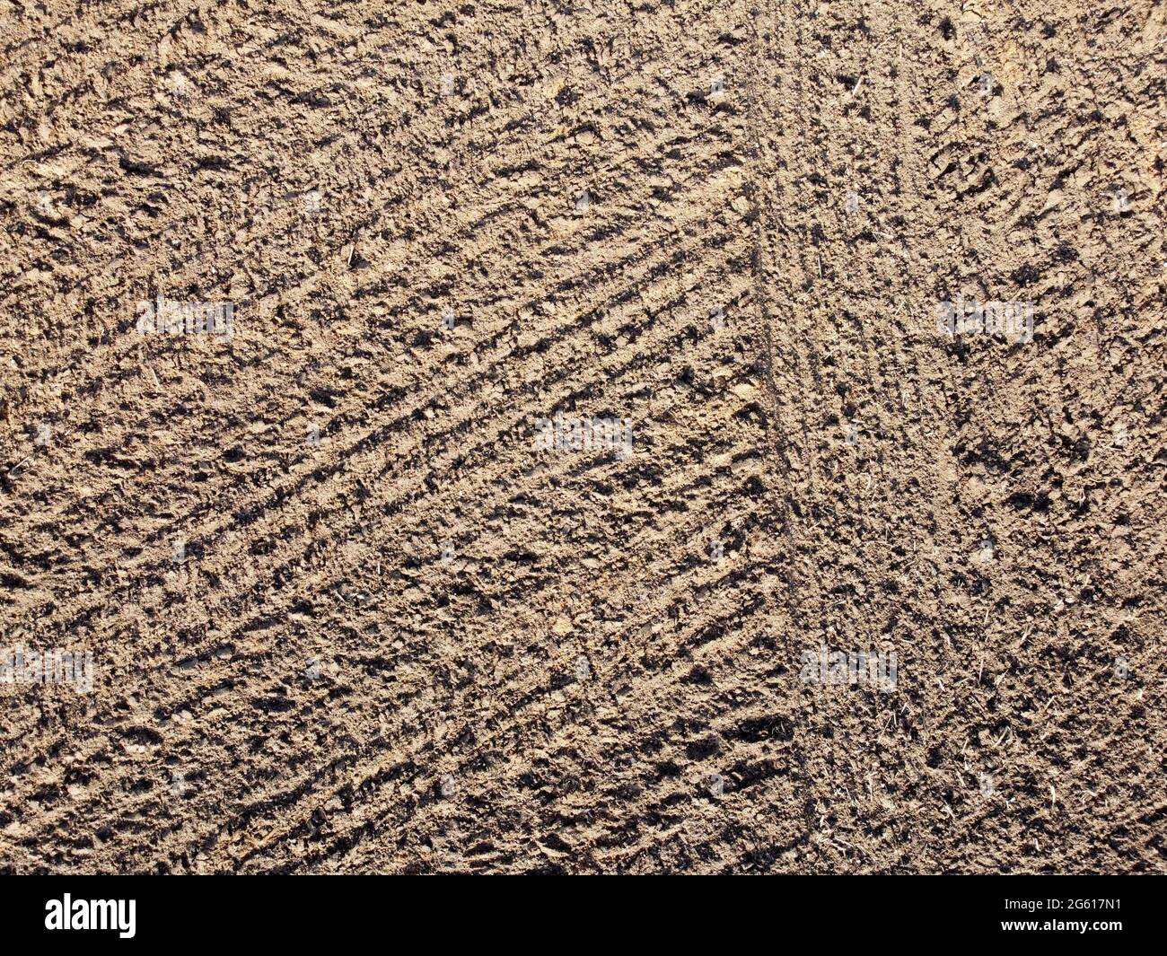 Organic and mineral structure of plants and soil containing humus in ...