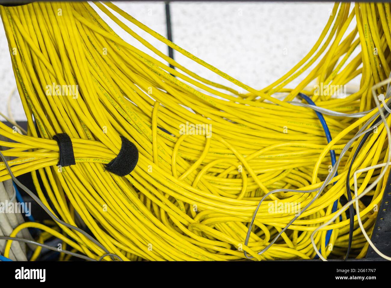The yellow network cables in the server room for connecting to a ...
