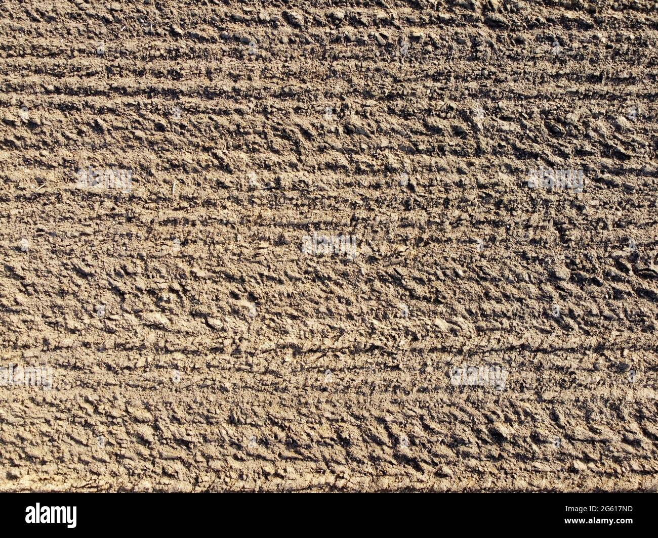 Organic and mineral structure of plants and soil containing humus in ...