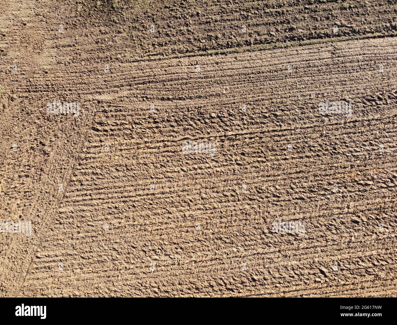 Organic and mineral structure of plants and soil containing humus in ...