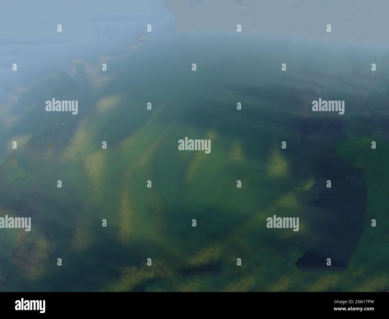 Organic and mineral structure of plants and soil containing humus in ...