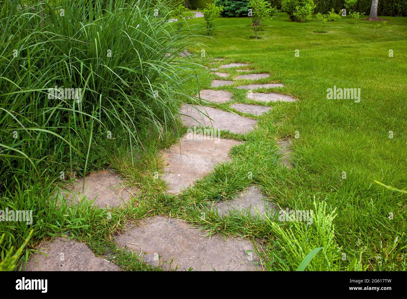 rough different shapes of neutral stone path paved in green backyard ...