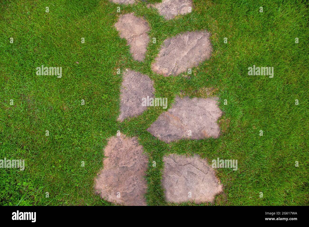 Landscaping of the garden path of natural rough stone along which to ...