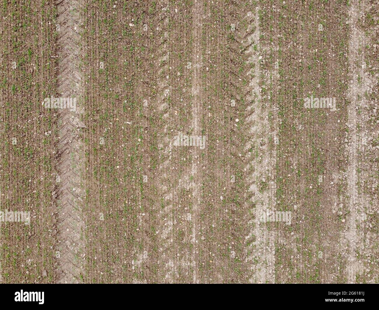 Organic and mineral structure of plants and soil containing humus in ...