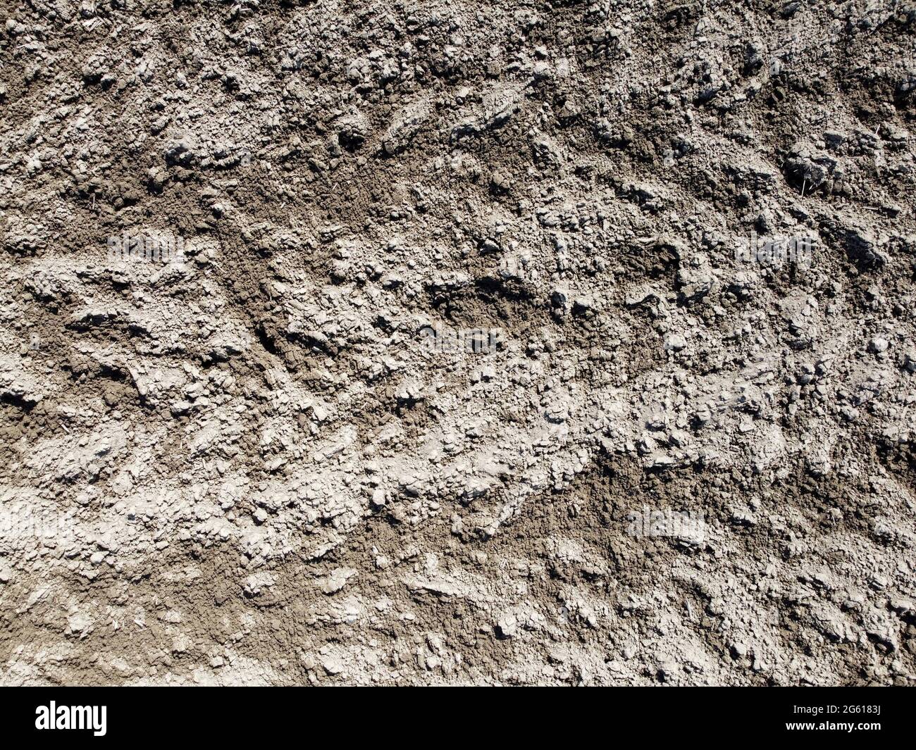 Organic and mineral structure of plants and soil containing humus in ...