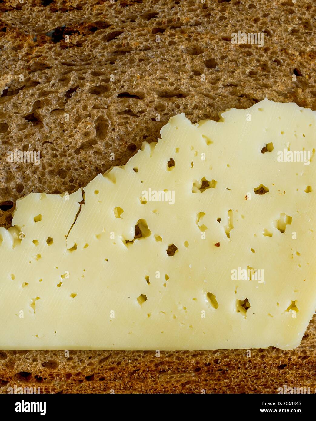 Organic and mineral structure of plants and soil containing humus in ...
