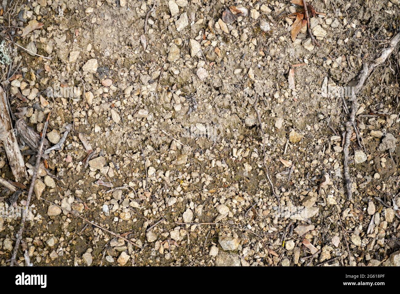 Organic and mineral structure of plants and soil containing humus in ...