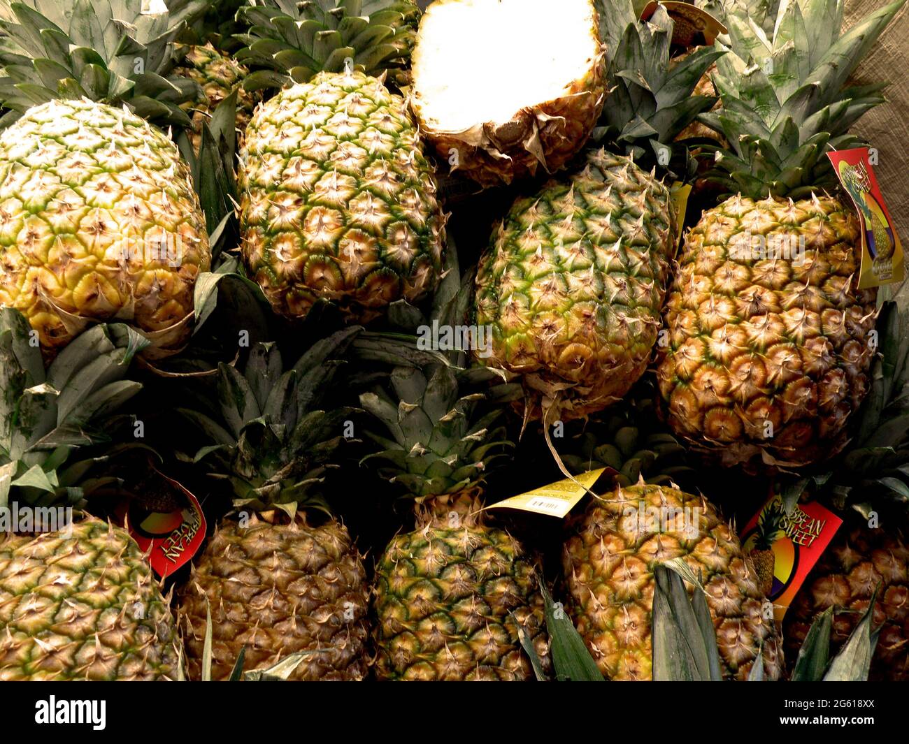 Maui pineapple farm hi-res stock photography and images - Alamy