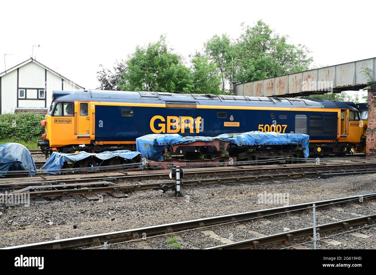 Class 50 Diesel's at Kidderminster station Stock Photo - Alamy