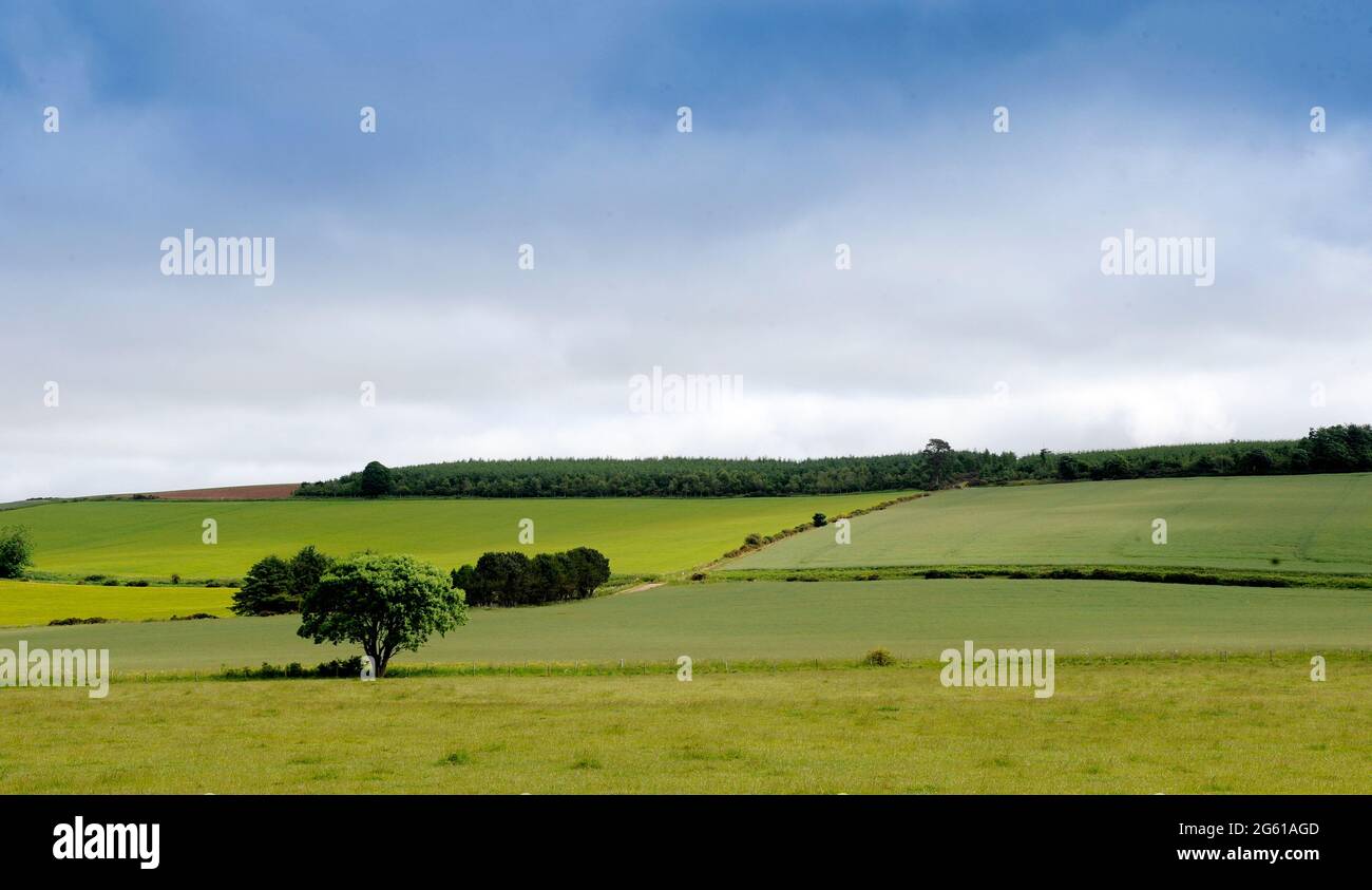 Mearns scotland hi-res stock photography and images - Alamy