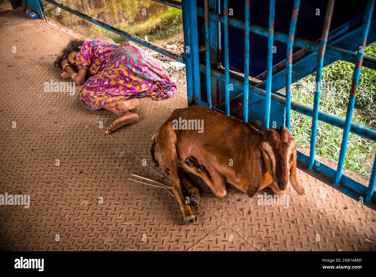 Faces of poverty hi-res stock photography and images - Alamy