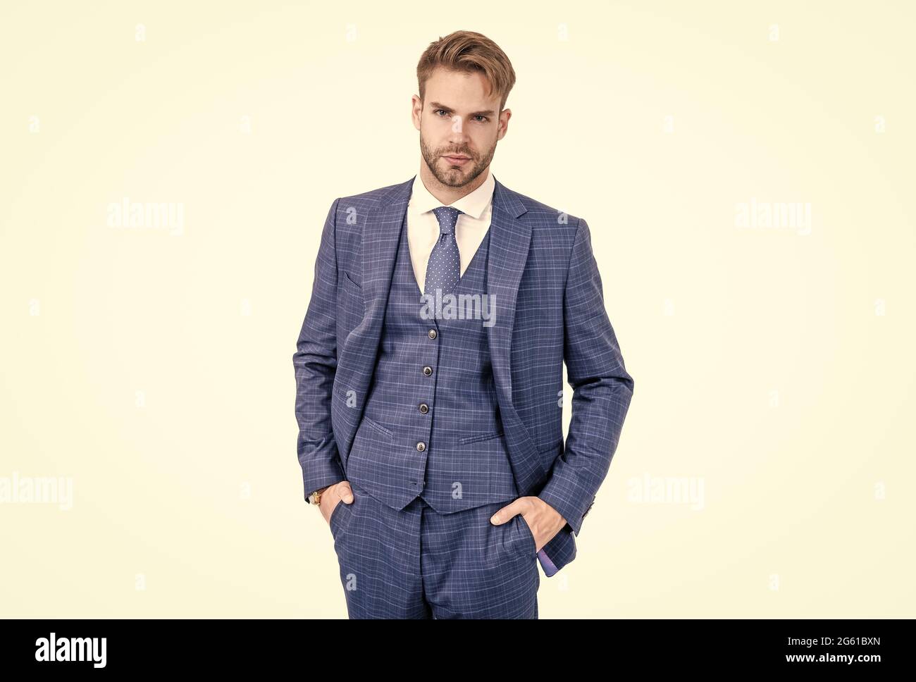 Elegant director wear fashion blue suit in business formal style ...