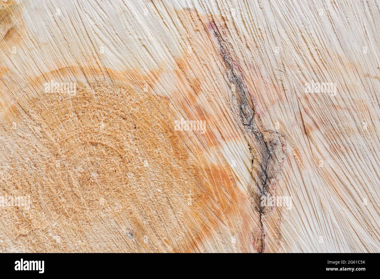 Slice of wood timber natural background Stock Photo - Alamy