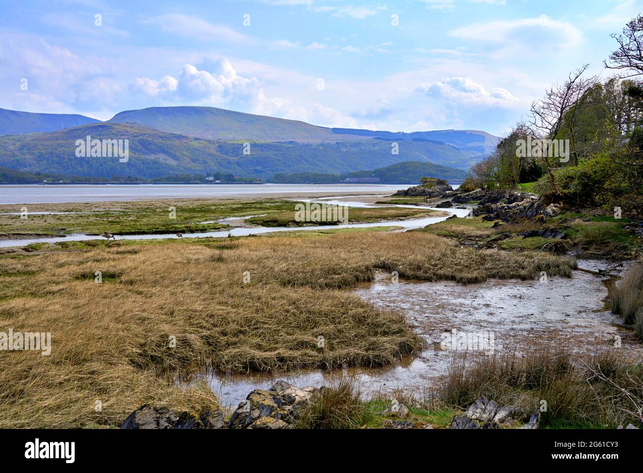 Landscape picture across Afron Mawddach Estuary in Gwynedd, Wales Stock ...