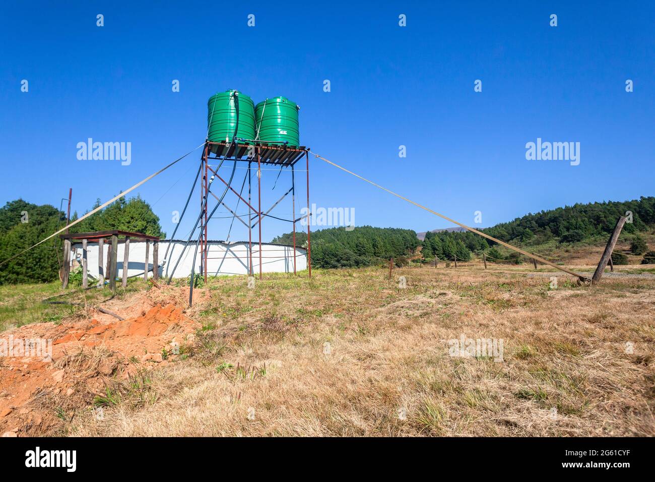Forest Farm with two Large green colored water tanks on tall steel ...