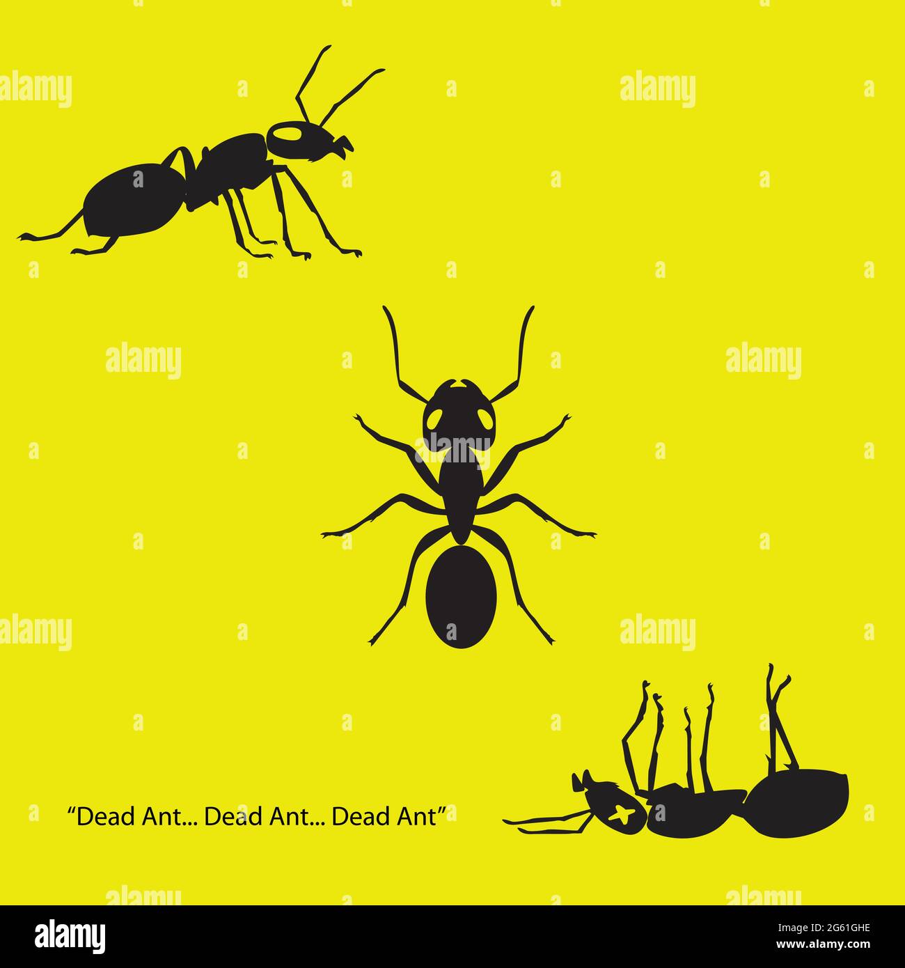 three ants: top view, side view, dead view. illustration vector Stock ...