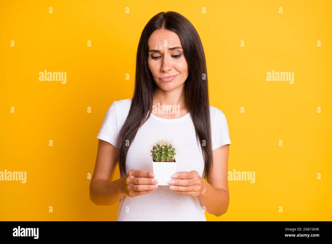 Photo portrait unhappy brunette keeping cactus plant in white pot sad ...