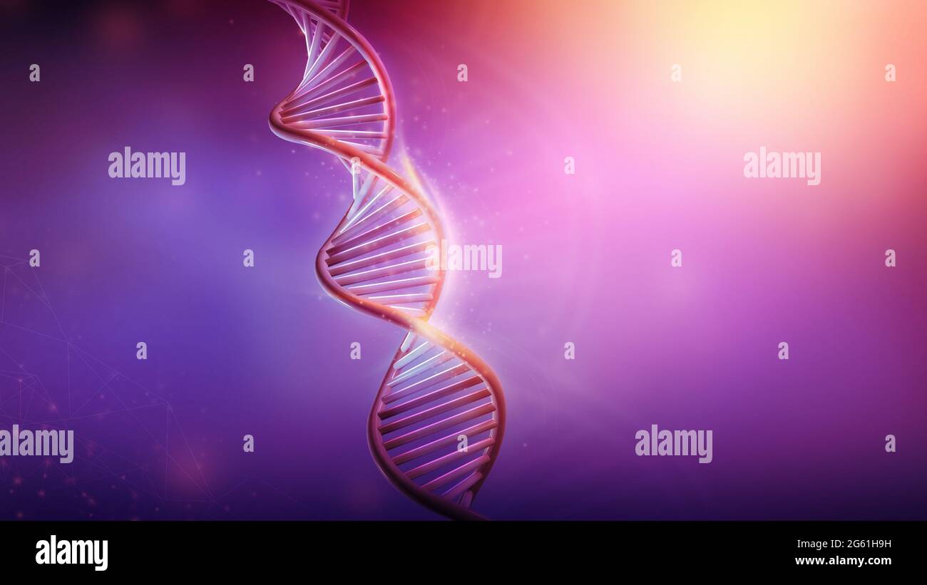 Double helix structure model hi-res stock photography and images - Alamy