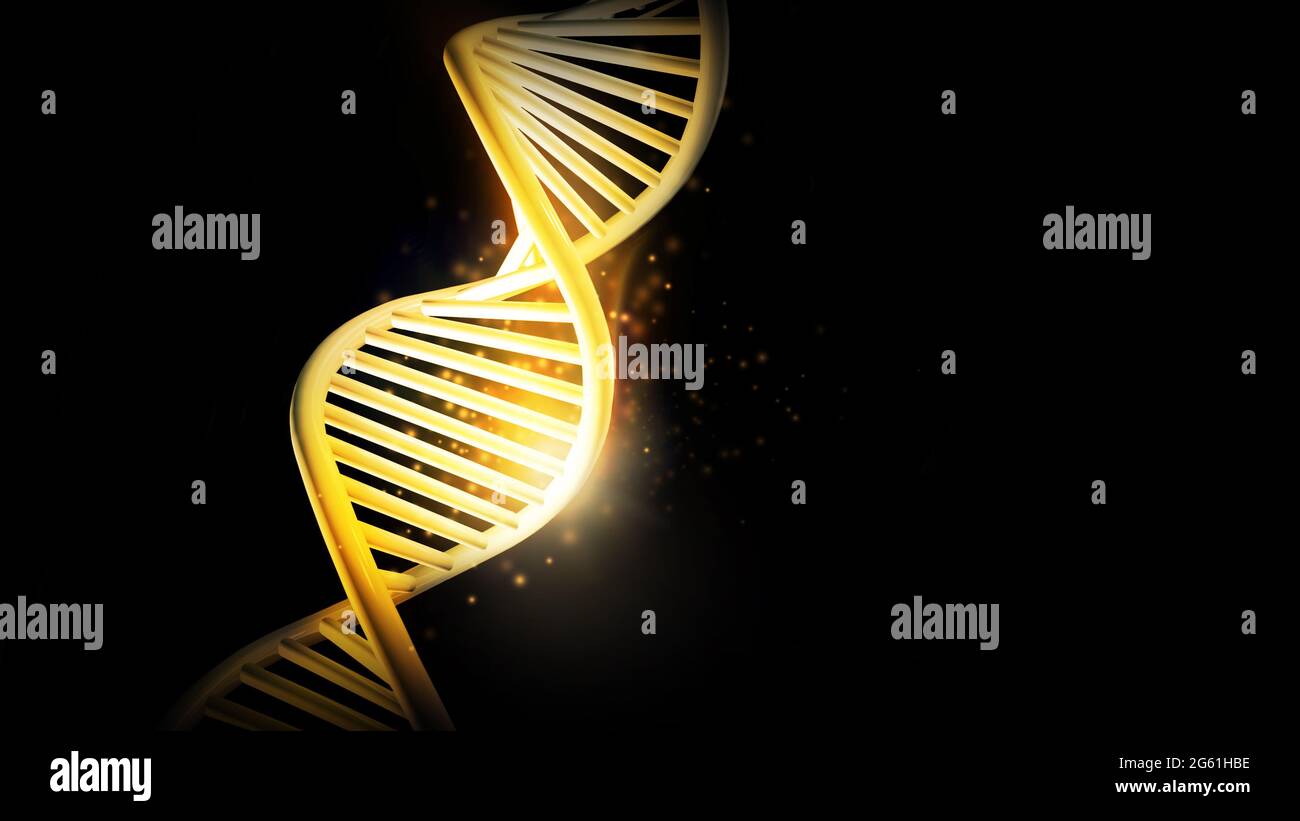 Golden glow of DNA model on a black background, 3D render Stock Photo ...