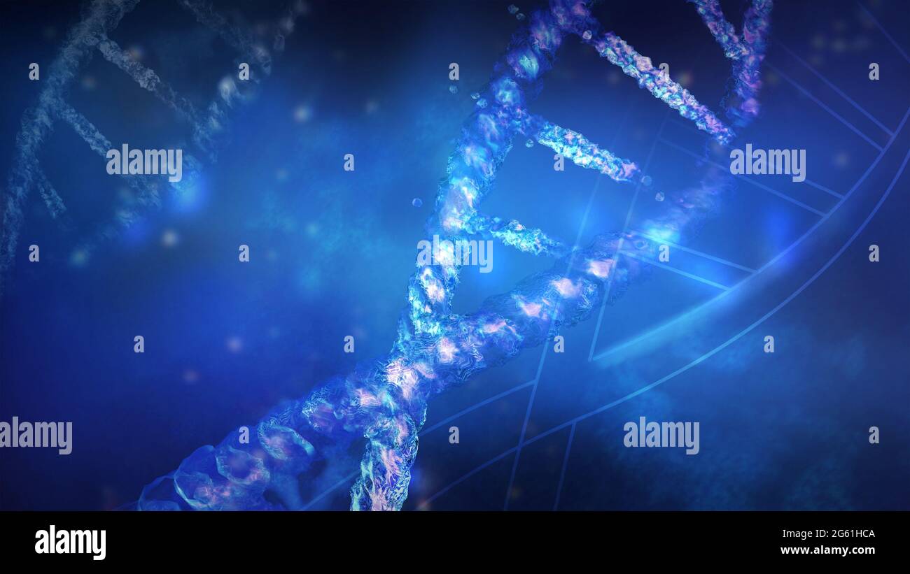 Fragments of double helix DNA strand close-up, 3D render Stock Photo - Alamy