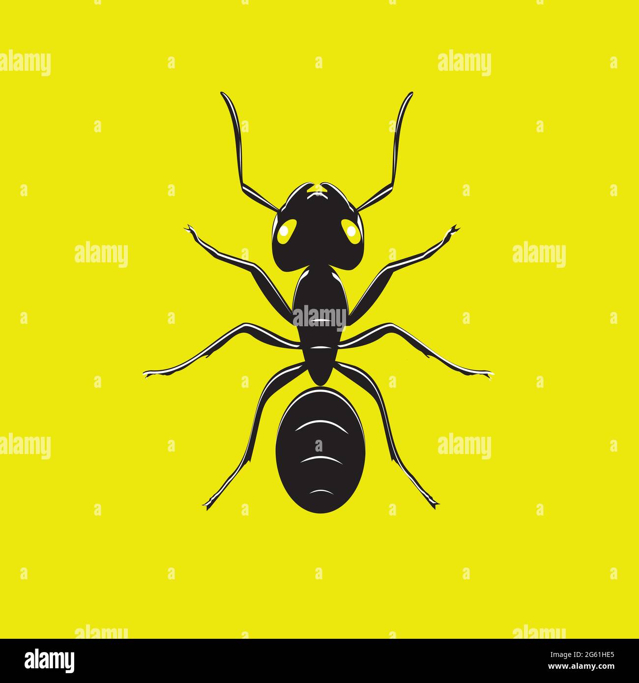 insect black ant view from above highlights and yellow background Stock ...