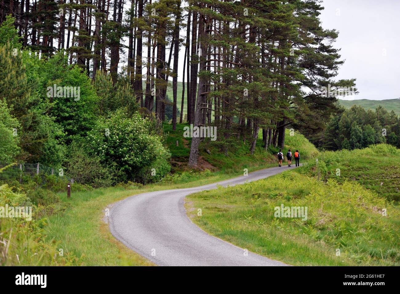 West Highland Way, Scotland Stock Photo - Alamy