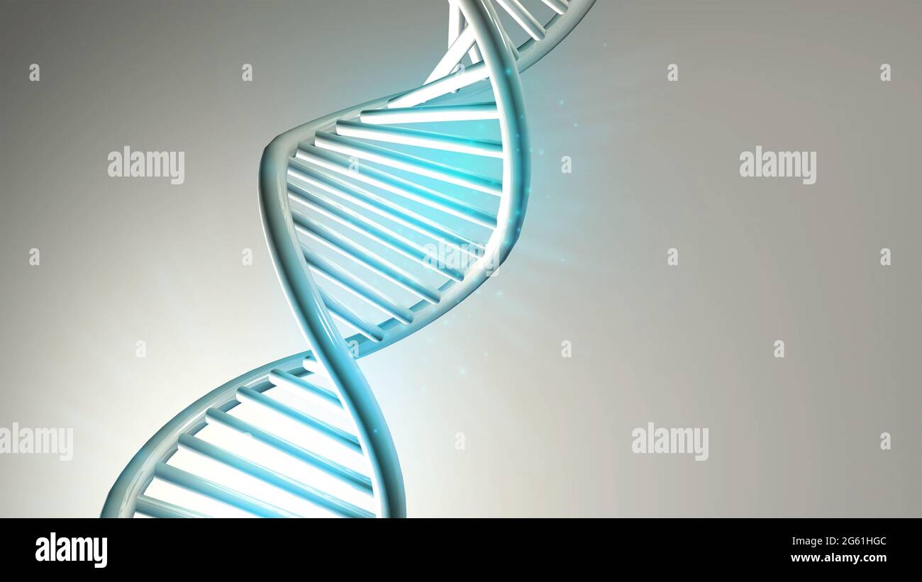 DNA double helix model on a light gray background, 3D render Stock ...