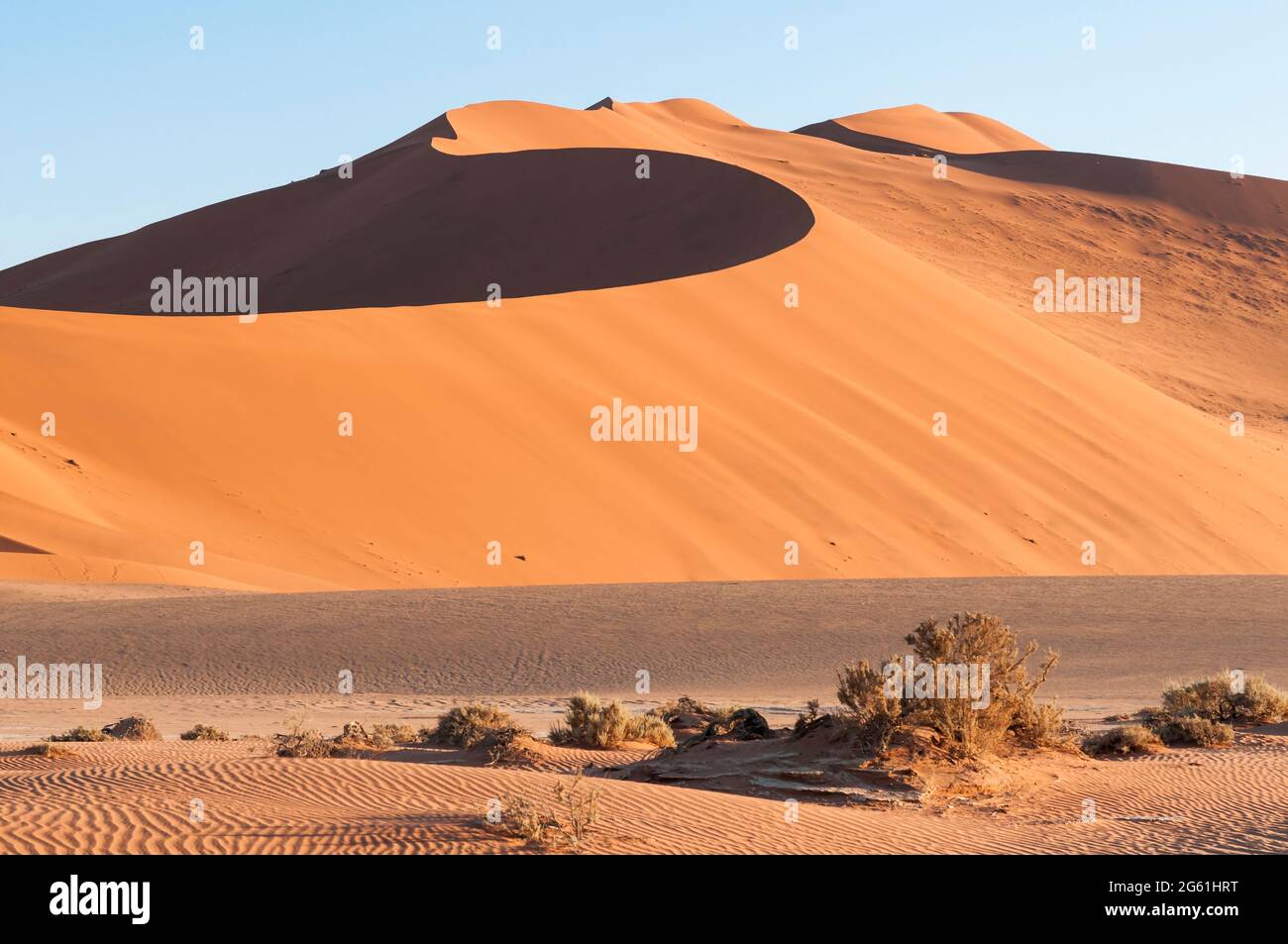 Dunes in the Namib Desert to the horizon, Namibia, Africa Stock Photo ...