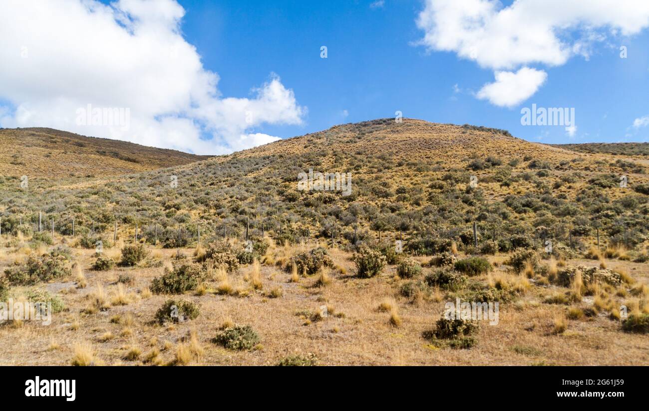 Countryside of Tierra del Fuego island, Chile Stock Photo - Alamy
