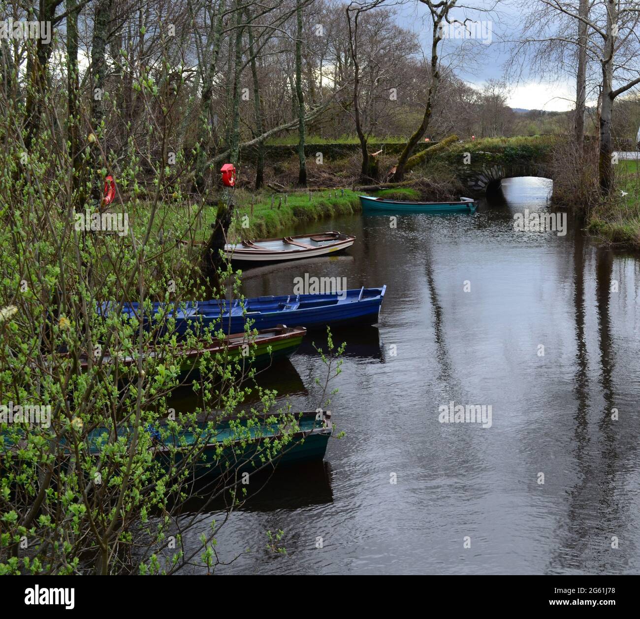 Colorful forest killarney national park hi-res stock photography and ...