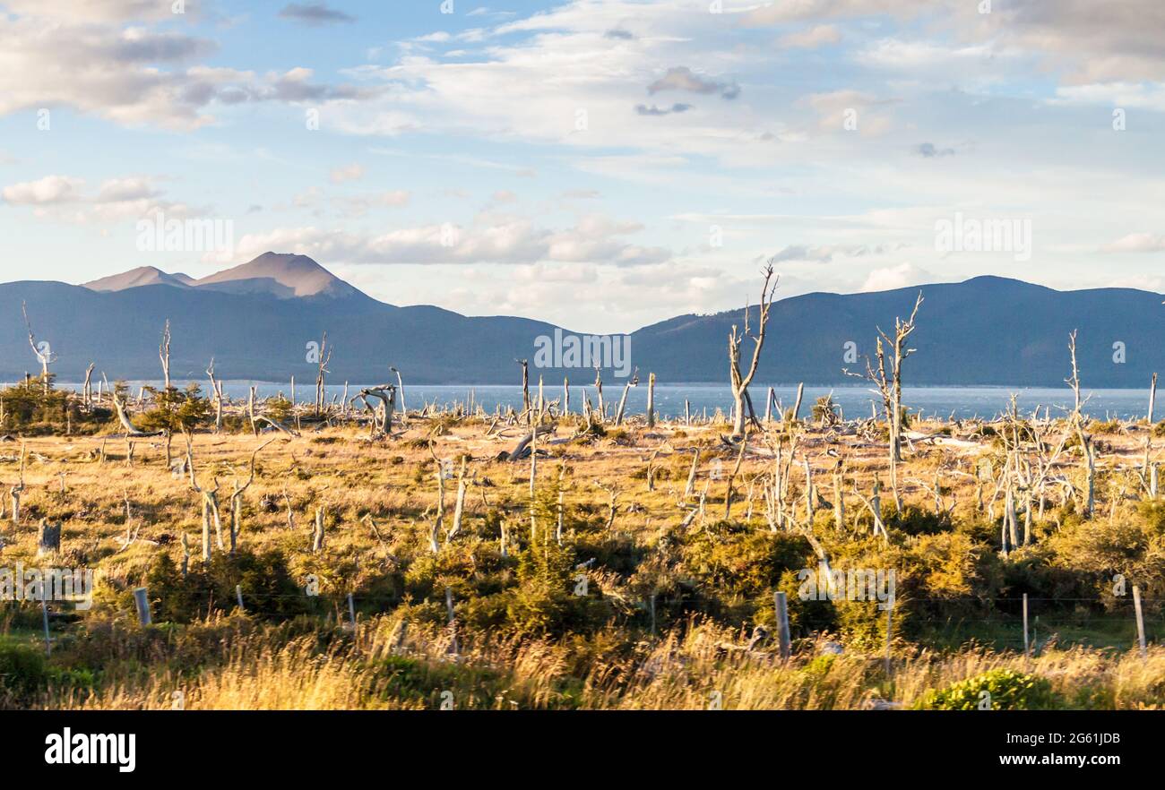 Lago Fagnano (also Cami) lake at Tierra del Fuego island, Argentina ...