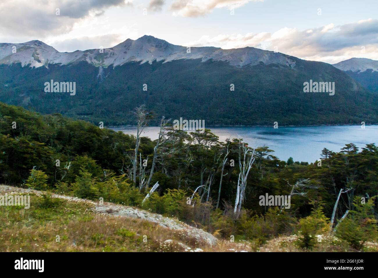 Lago cami hi-res stock photography and images - Alamy