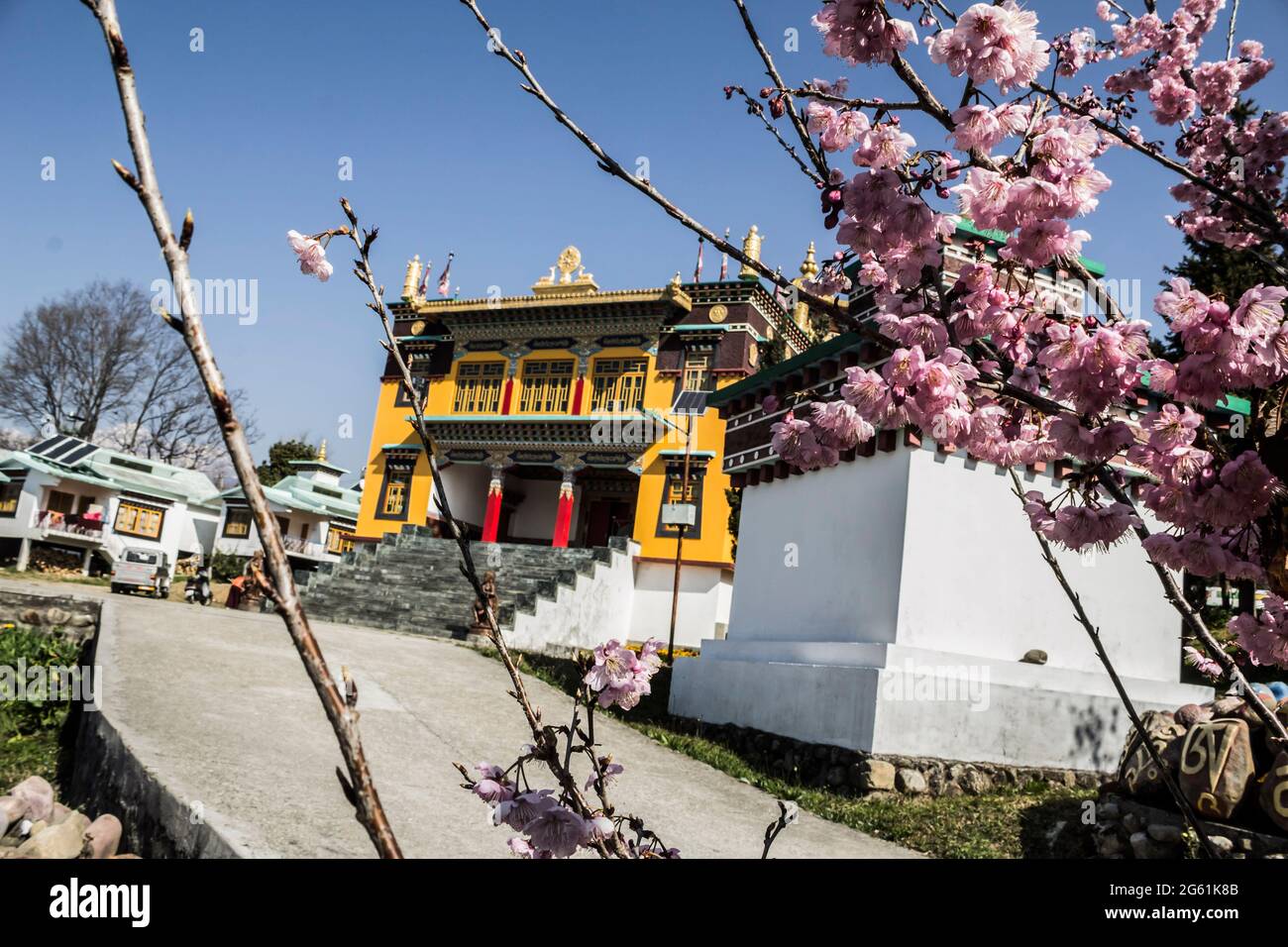 Indian Bir High Resolution Stock Photography and Images - Alamy