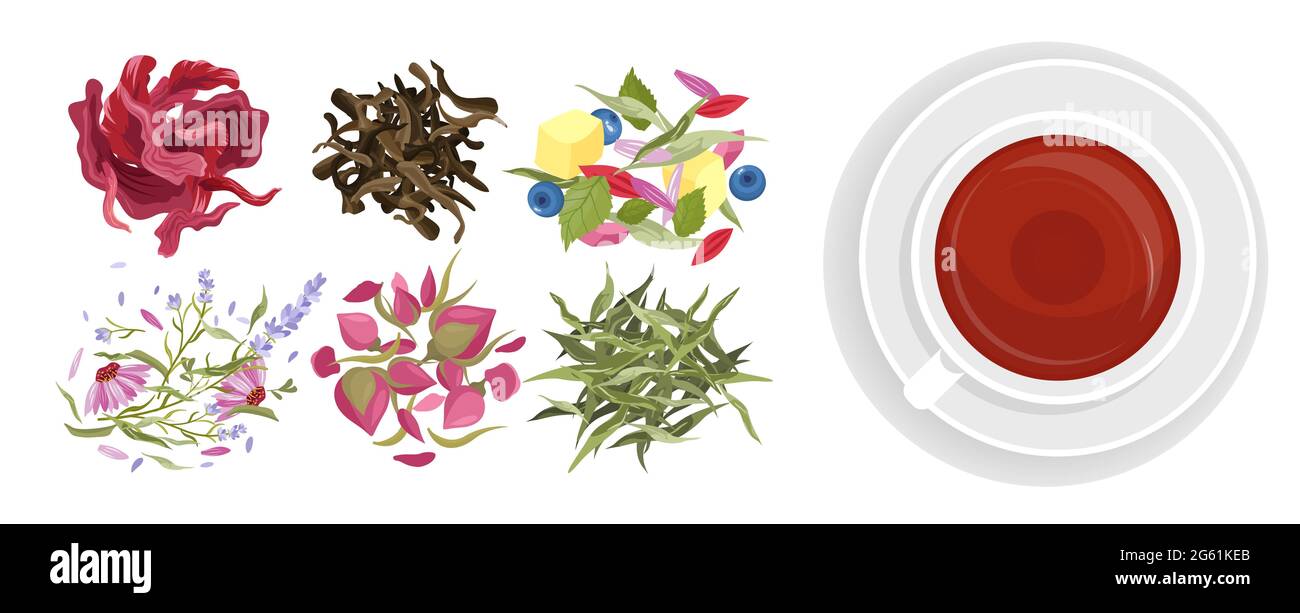 Herbal tea vector illustration set in flat cartoon style, teacup with ...