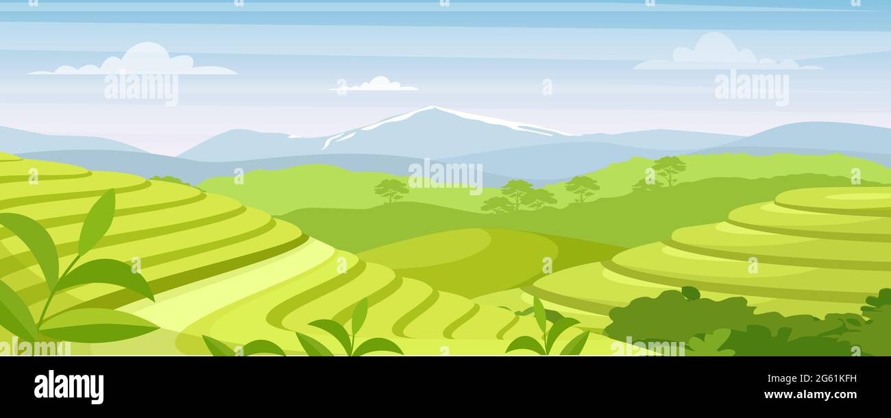 Plantation Stock Vector Images - Alamy